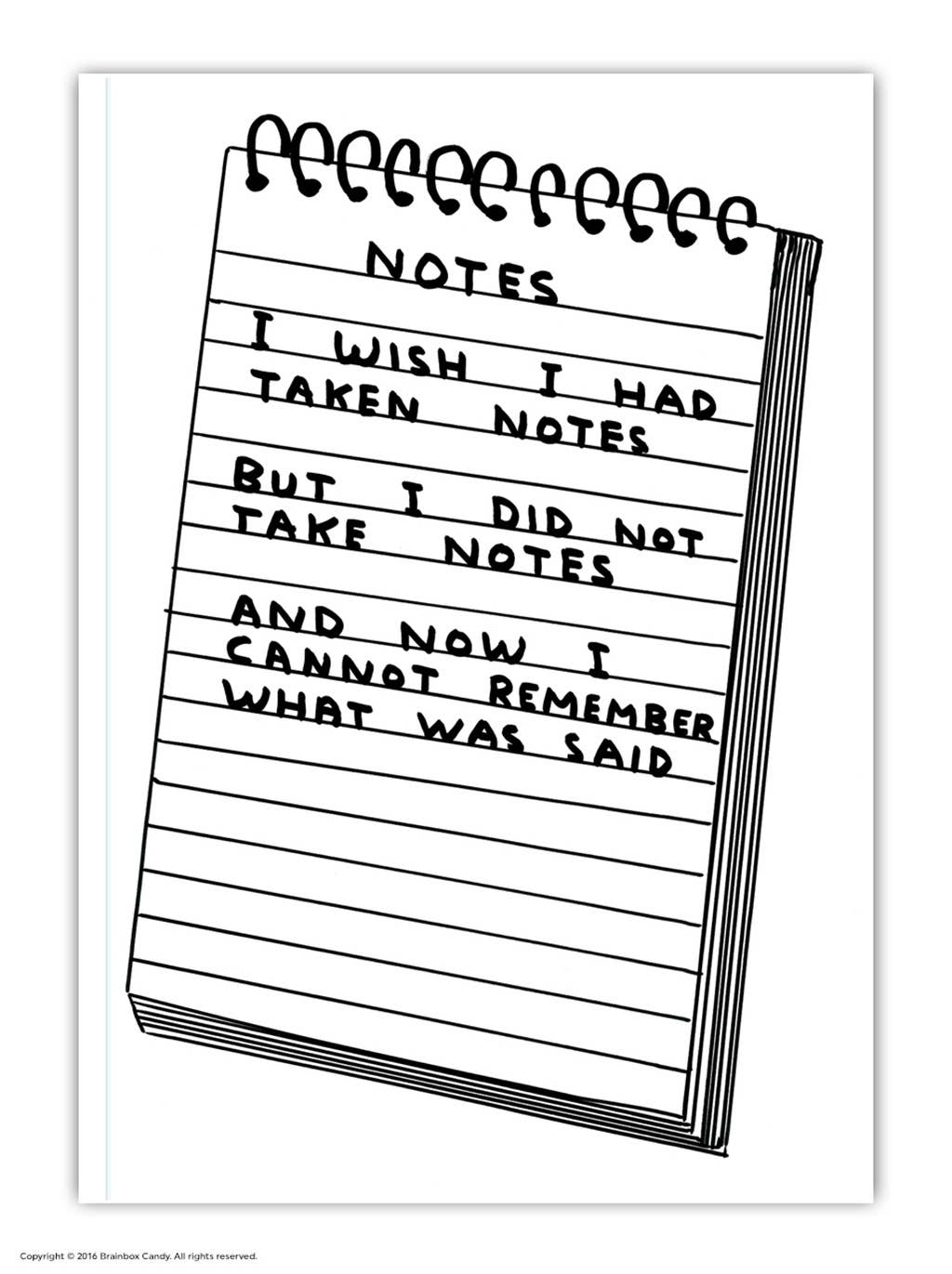David Shrigley A6 Notebook Wish I'd Taken Notes – Shop Contemporary