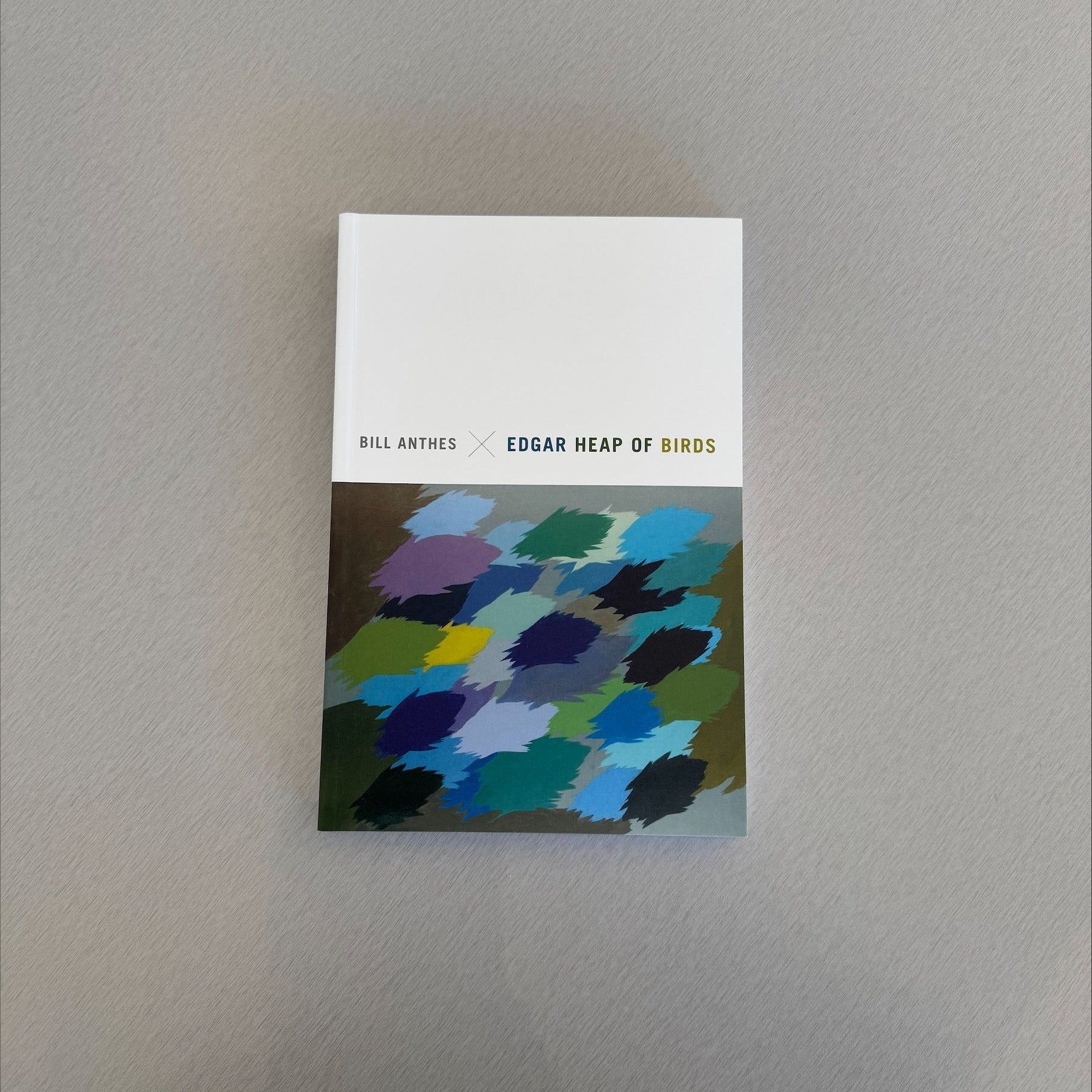 Bill Anthes x Edgar Heap of Birds – Shop Contemporary